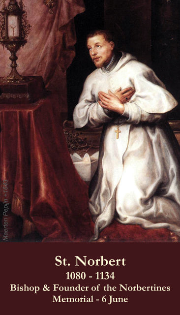 St. Norbert LAMINATED Prayer Card, 5-Pack — Keep God in Life